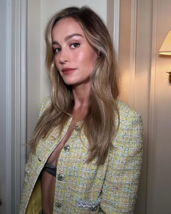 10 Lesser-Known Facts About Brie Larson, the Star Behind Captain Marvel ...
